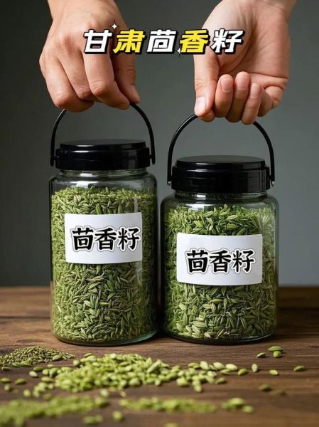 小茴香籽怎么吃_小茴香籽的正确吃法大全-第3张图片-山城妙识