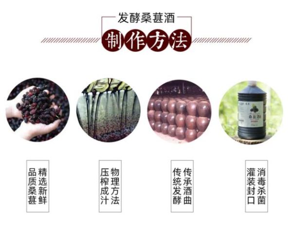 桑子泡酒怎么泡_桑子泡酒比例是多少-第2张图片-山城妙识