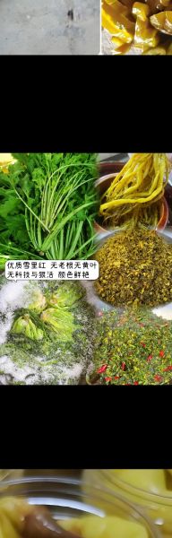 雪里红怎样腌制又脆又绿_雪里红腌制不变色的秘诀-第1张图片-山城妙识