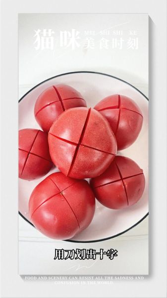 番茄酱可以做什么菜_番茄酱怎么做好吃-第2张图片-山城妙识