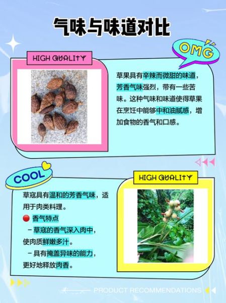 草寇和草果的区别_草寇和草果哪个香-第1张图片-山城妙识