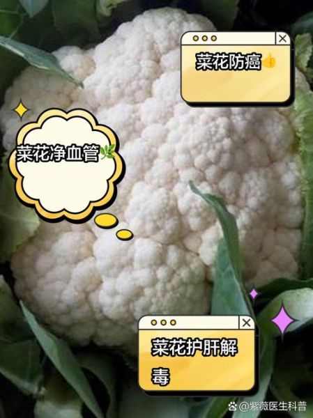 菜花有什么功效与作用_菜花禁忌人群有哪些-第2张图片-山城妙识