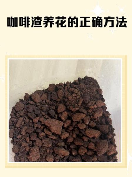 咖啡豆渣可以做什么_咖啡豆渣的妙用有哪些-第2张图片-山城妙识