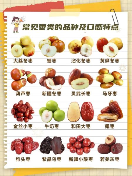 红枣每天吃多少合适_一天吃几颗红枣最好-第3张图片-山城妙识