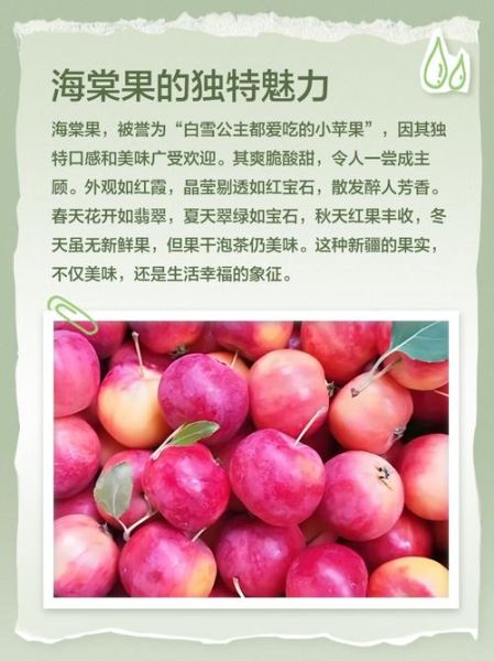 海棠果图片_如何分辨真假-第3张图片-山城妙识