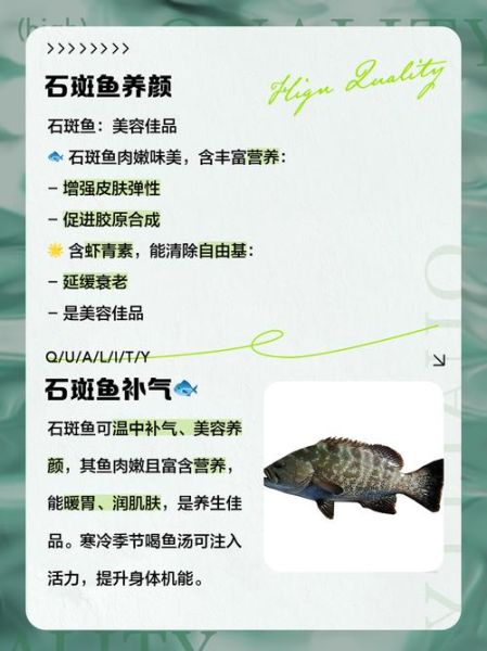 石斑鱼的营养价值_石斑鱼的功效与作用-第1张图片-山城妙识 石斑鱼的营养价值_石斑鱼的功效与作用-第1张图片-山城妙识