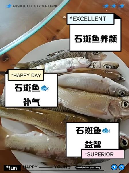 石斑鱼的营养价值_石斑鱼的功效与作用-第2张图片-山城妙识 石斑鱼的营养价值_石斑鱼的功效与作用-第2张图片-山城妙识