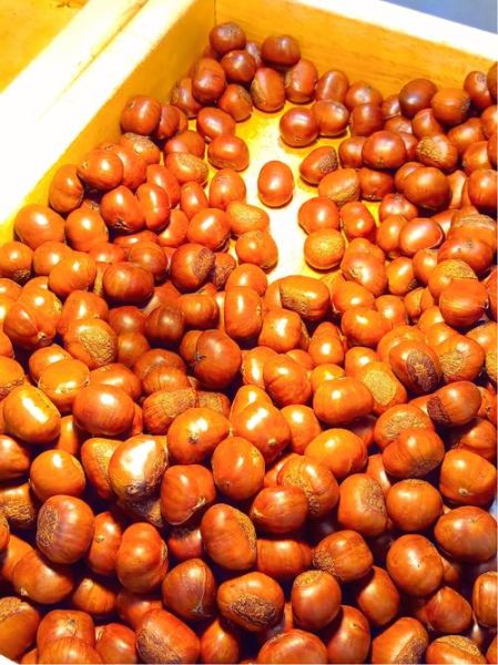 正宗炒板栗怎么做_家用铁锅版详细步骤-第1张图片-山城妙识