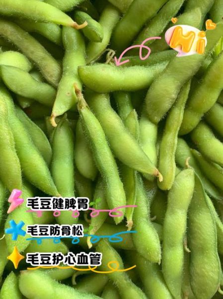 毛豆的功效与作用_毛豆的营养价值有哪些-第3张图片-山城妙识 毛豆的功效与作用_毛豆的营养价值有哪些-第3张图片-山城妙识