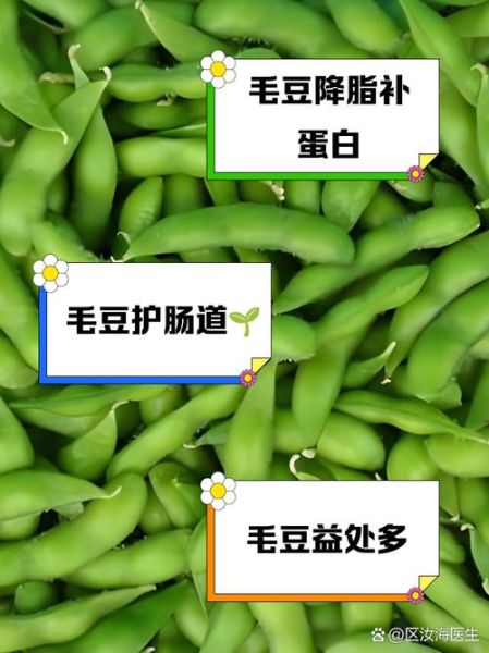 毛豆的功效与作用_毛豆的营养价值有哪些-第2张图片-山城妙识 毛豆的功效与作用_毛豆的营养价值有哪些-第2张图片-山城妙识