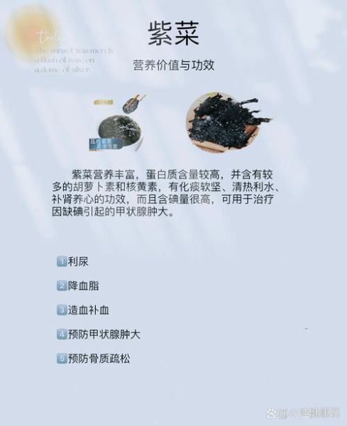 紫菜降血糖吗_糖尿病人吃紫菜的好处-第1张图片-山城妙识