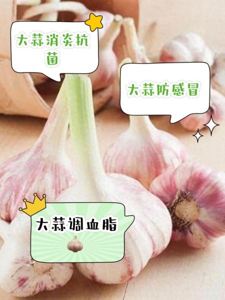 大蒜能治痛风吗_痛风吃大蒜的正确方法-第2张图片-山城妙识 大蒜能治痛风吗_痛风吃大蒜的正确方法-第2张图片-山城妙识