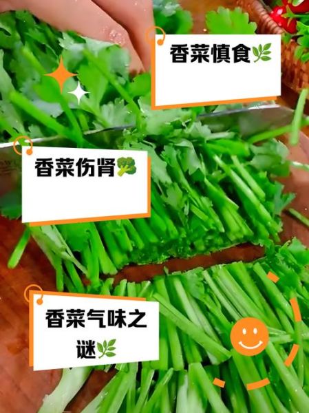 香菜壮阳还是杀精_男人吃香菜会不育吗-第1张图片-山城妙识