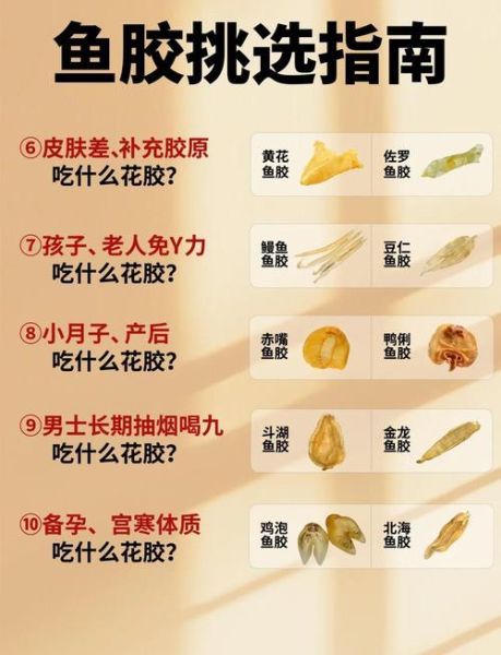 鱼胶哪种比较好呢_鱼胶选购避坑指南-第1张图片-山城妙识