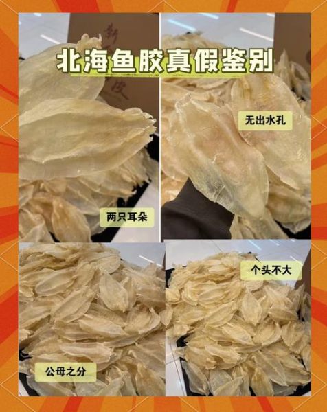 鱼胶哪种比较好呢_鱼胶选购避坑指南-第3张图片-山城妙识