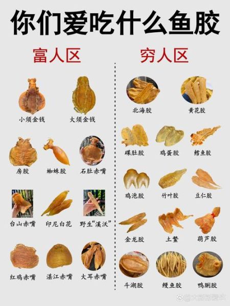 鱼胶哪种比较好呢_鱼胶选购避坑指南-第2张图片-山城妙识