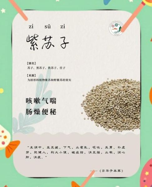 紫苏子的功效与作用及禁忌_紫苏子怎么吃效果最好-第1张图片-山城妙识