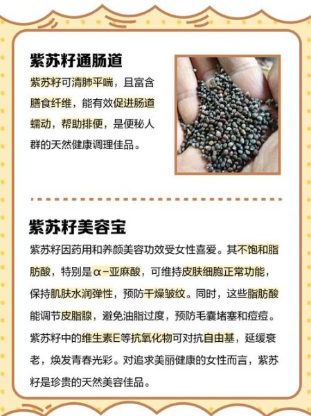 紫苏子的功效与作用及禁忌_紫苏子怎么吃效果最好-第3张图片-山城妙识