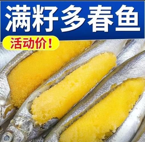 多春鱼什么时候有籽_多春鱼籽几月最饱满-第1张图片-山城妙识 多春鱼什么时候有籽_多春鱼籽几月最饱满-第1张图片-山城妙识
