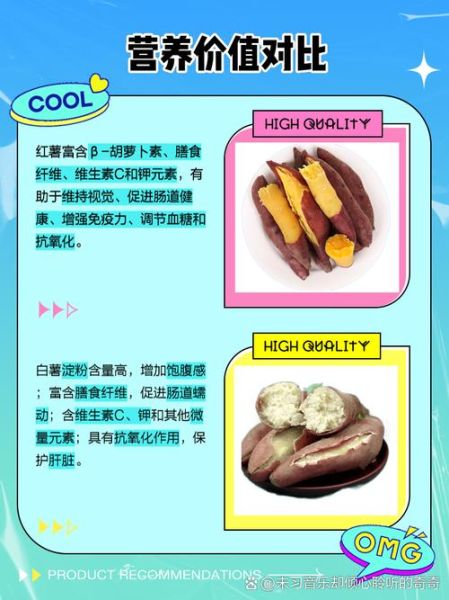 白薯是什么东西_白薯和红薯的区别-第1张图片-山城妙识