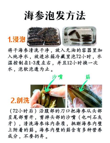 干海参怎么泡发_干海参怎么做好吃又有营养-第1张图片-山城妙识