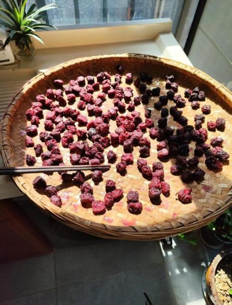 家庭自制杨梅干怎么做_自制杨梅干能放多久-第1张图片-山城妙识