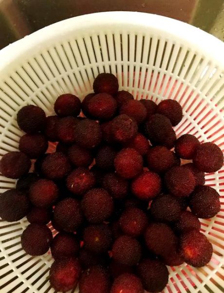 家庭自制杨梅干怎么做_自制杨梅干能放多久-第3张图片-山城妙识