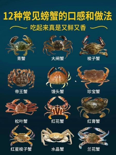 大闸蟹和毛蟹的区别_哪个更好吃-第1张图片-山城妙识