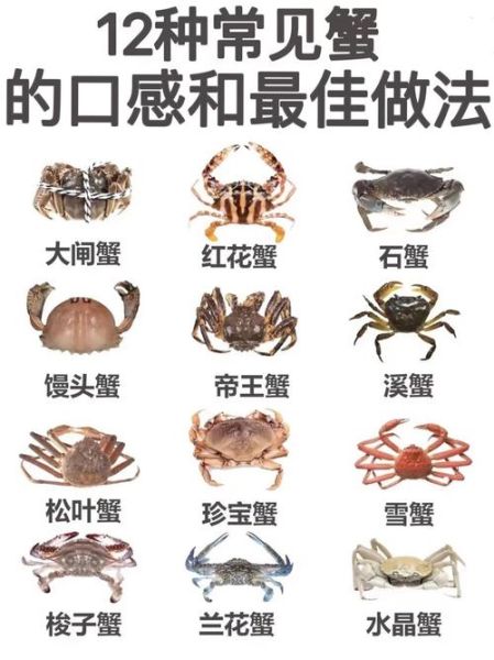 大闸蟹和毛蟹的区别_哪个更好吃-第2张图片-山城妙识