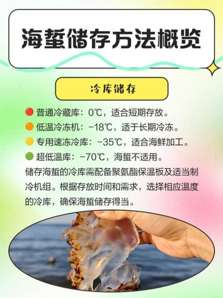 新鲜海蜇怎么保存_海蜇放冰箱能放多久-第2张图片-山城妙识 新鲜海蜇怎么保存_海蜇放冰箱能放多久-第2张图片-山城妙识