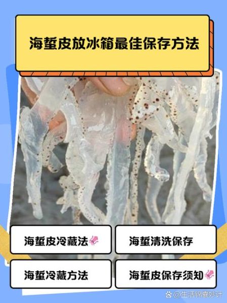 新鲜海蜇怎么保存_海蜇放冰箱能放多久-第1张图片-山城妙识 新鲜海蜇怎么保存_海蜇放冰箱能放多久-第1张图片-山城妙识
