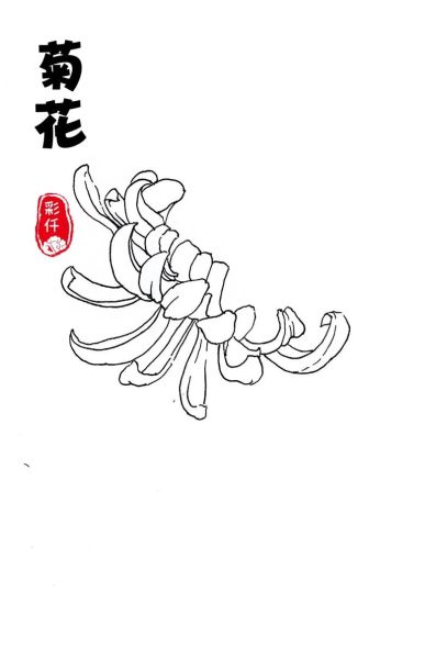 菊花简笔画怎么画_菊花简笔画步骤-第3张图片-山城妙识