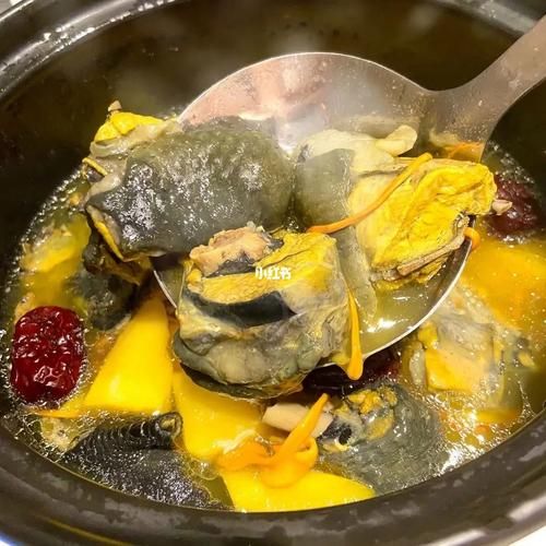 王八汤的功效与作用_女人能不能吃-第3张图片-山城妙识