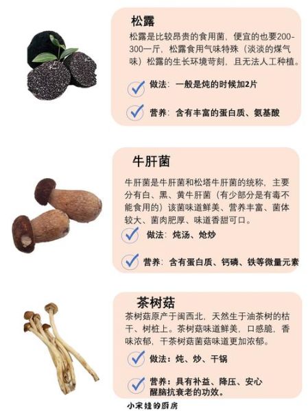 常见蘑菇种类有哪些_如何挑选新鲜蘑菇-第2张图片-山城妙识