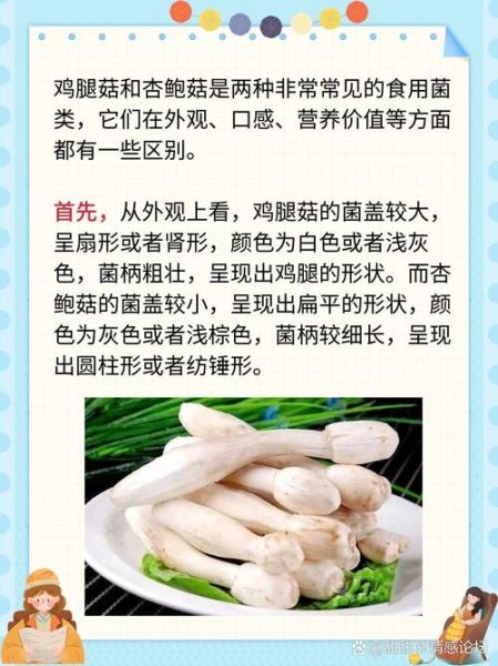 常见蘑菇种类有哪些_如何挑选新鲜蘑菇-第3张图片-山城妙识