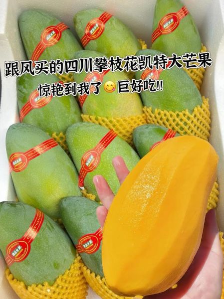 凯特芒果多少钱一斤_凯特芒果价格为什么差距大-第2张图片-山城妙识