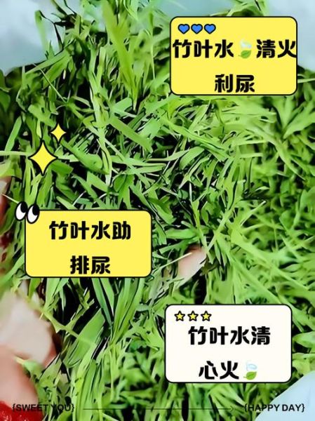 竹叶的功效与作用_竹叶泡水喝有什么好处-第2张图片-山城妙识