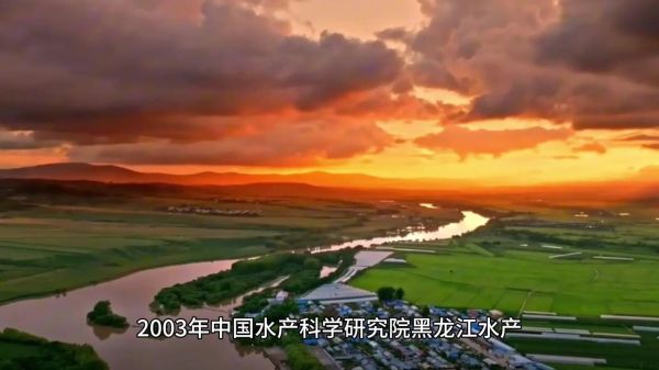 淡水鳕鱼是什么鱼_淡水鳕鱼多少钱一斤-第3张图片-山城妙识