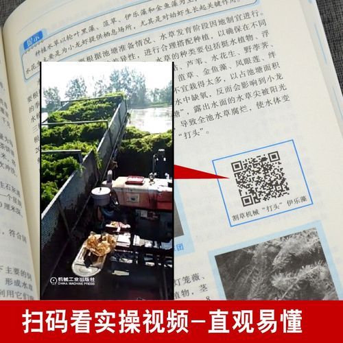 稻田小龙虾养殖技术_如何提高产量与品质-第1张图片-山城妙识