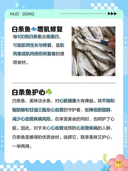 白条鱼的功效与作用_白条鱼的营养价值-第1张图片-山城妙识