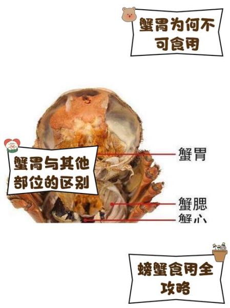 大闸蟹哪些部位不能吃_蟹腮蟹心蟹胃怎么区分-第1张图片-山城妙识