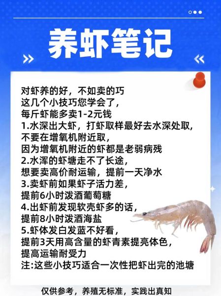 养虾一亩一年一般赚多少_如何提高虾塘利润-第2张图片-山城妙识