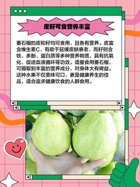 吃石榴能减肥吗_石榴减肥的正确吃法-第2张图片-山城妙识