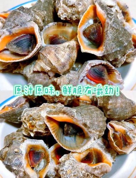 海螺怎么做好吃_海螺哪些部位不能吃-第1张图片-山城妙识