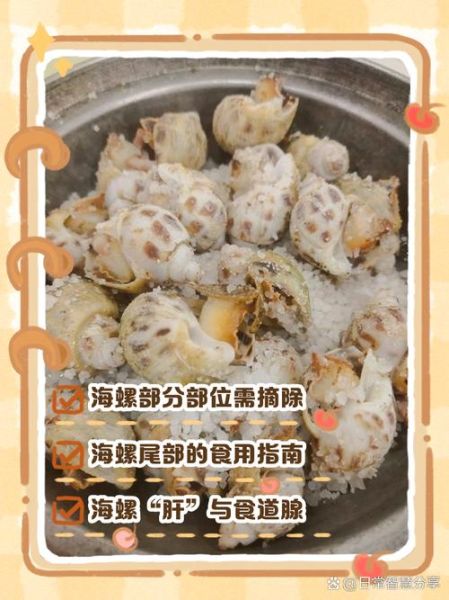 海螺怎么做好吃_海螺哪些部位不能吃-第3张图片-山城妙识