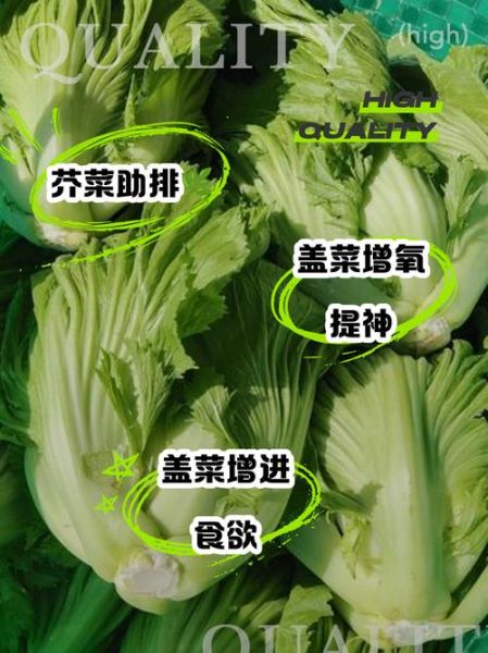 盖菜的功效与作用_盖菜怎么吃最营养-第1张图片-山城妙识