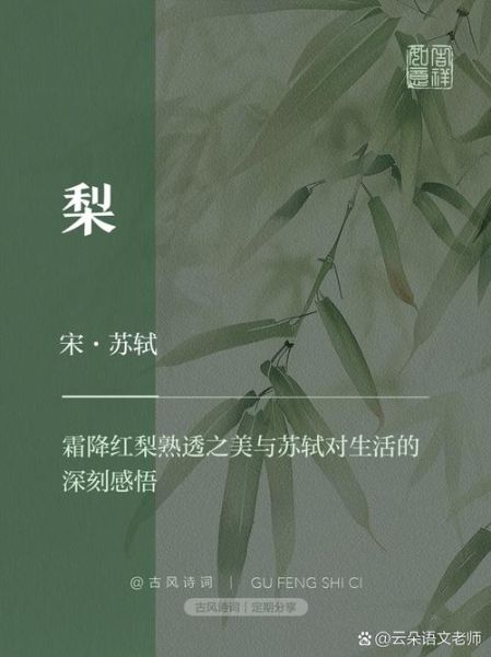 梨的拼音怎么写_梨的正确发音是什么-第2张图片-山城妙识