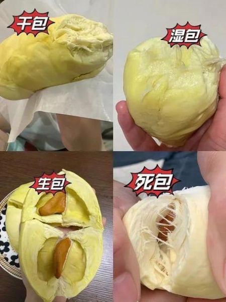 榴莲网怎么选_榴莲网靠谱吗-第1张图片-山城妙识