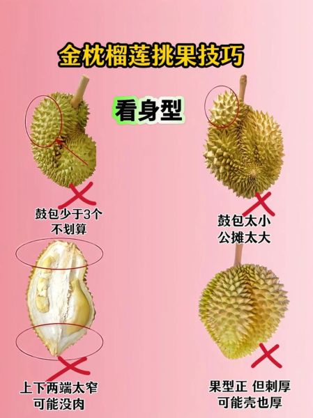 榴莲网怎么选_榴莲网靠谱吗-第2张图片-山城妙识