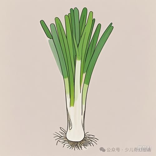 大葱图片动漫_如何画出生动的大葱角色-第2张图片-山城妙识